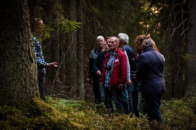 Evening Wildlife Safari Stockholm - Who Will Love This Tour?