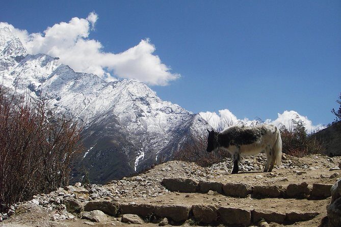 Everest Base Camp - Cho La Pass - Gokyo Trek - An Honest Breakdown of the Trek Experience
