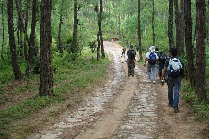 "Everest Base Camp Express Trek: Adventure in Less Time" - Guides, Permits, and Logistics
