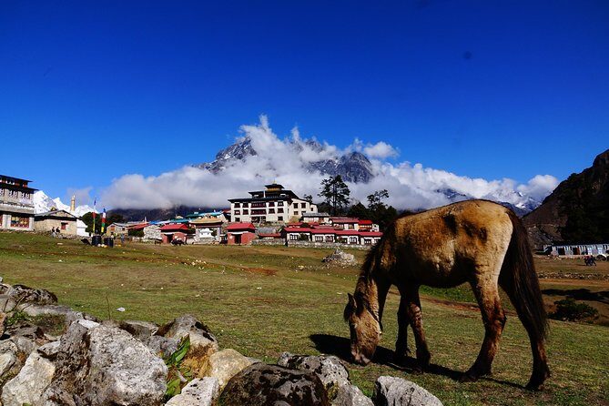 Everest Base Camp Trek - The Flight to Lukla: A Thrilling Start