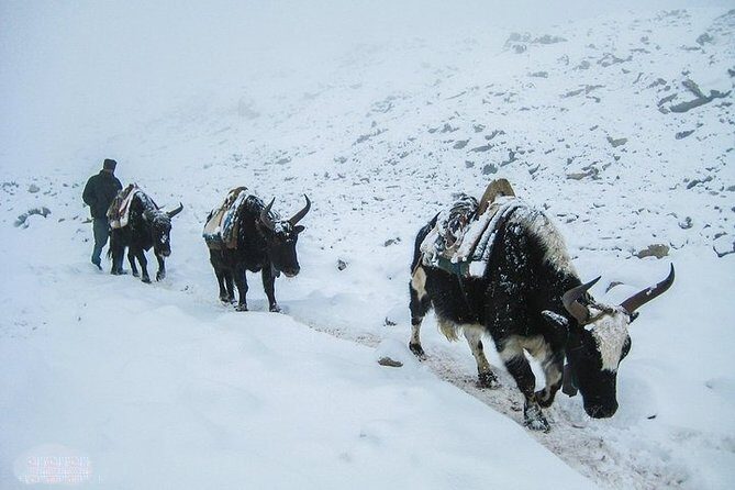 Everest Base Camp Trek - Key Points