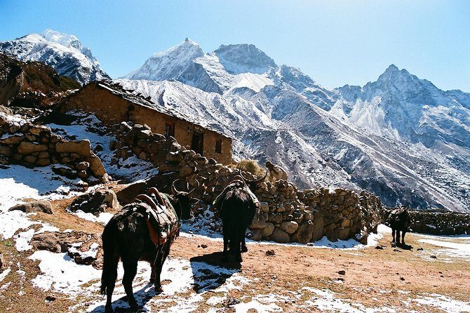 Everest Base Camp Trek 16 Days - Scenic Diversity