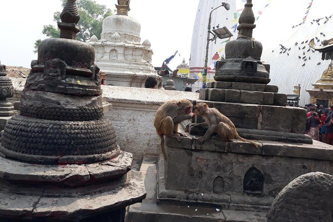 Everest Base Camp Trek and fly back by Helicopter 12 days - The Itinerary: A Closer Look