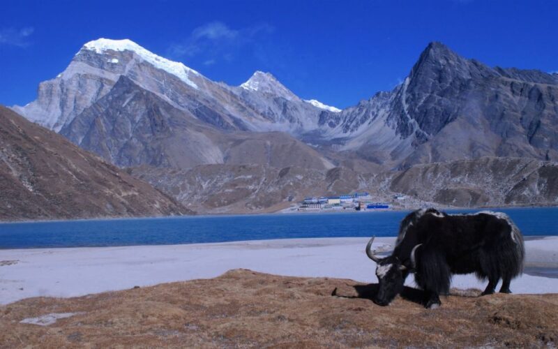 Everest Base Camp Trek with Gokyo Lakes - 16-Day Adventure - FAQs