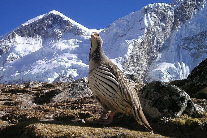 Everest Base Camp Trek with Kathmandu Valley Sightseeing Tour - Final Words