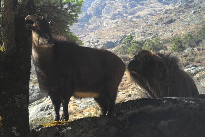 Everest Base Camp Trekking - 12 Days - Practical Considerations