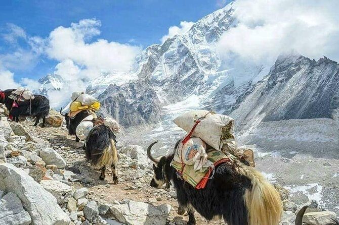 Everest Base Camp With Chola Pass via Gokyo Lakes - What Travelers Love Most