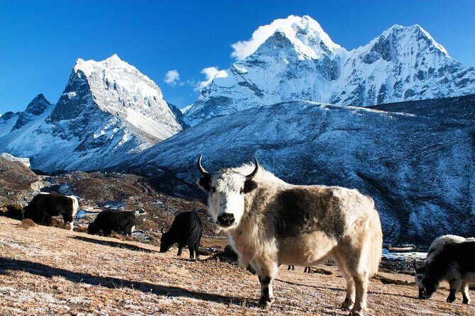 Everest Gokyo Lake Trek -13 Days - Key Points