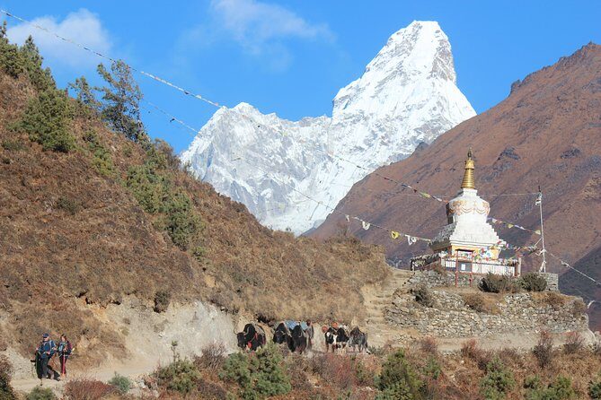 Everest Three Pass Trek - Final Thoughts