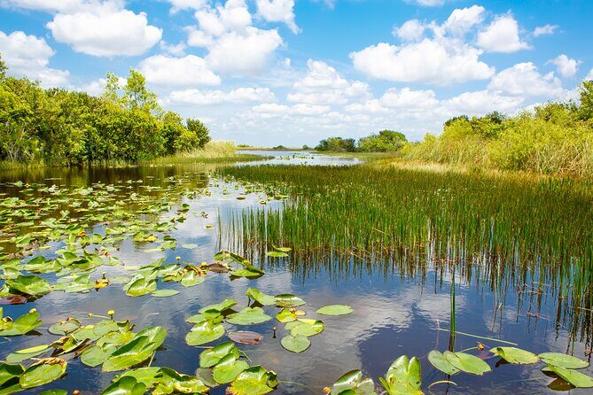 Everglades Airboat Adventure and Biscayne Bay Boat Tour - The Details: What to Expect on the Tour