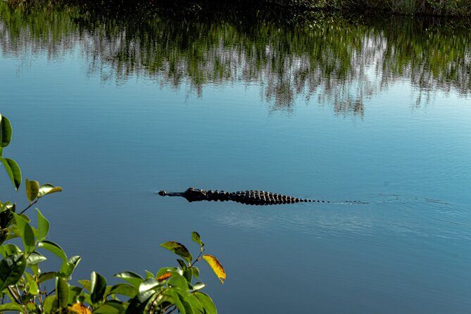 Everglades Airboat, Wildlife Show and free Photo - Who Is This Tour Best For?