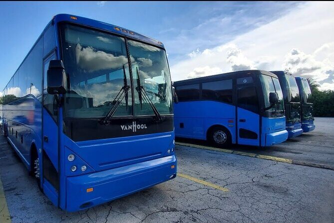 Everglades Alligator Airboat Tour with Bus transfer from Miami - The Overview: What to Expect on This Tour