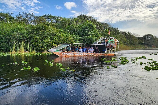 Everglades Alligator Airboat Tour with Bus transfer from Miami - Authentic Encounters and Practical Tips