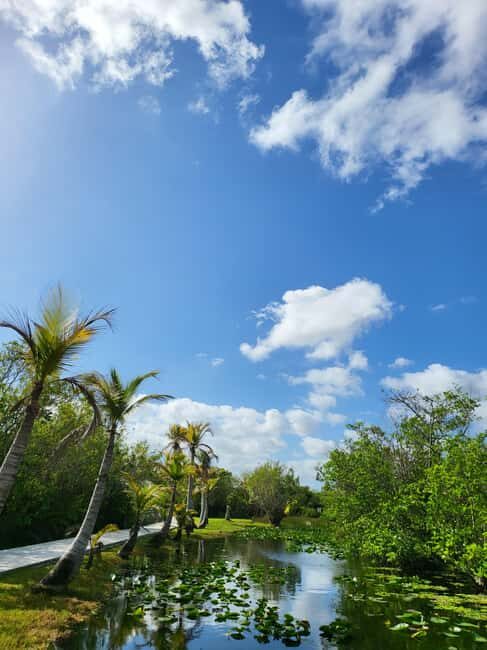 Everglades: boat tour with transportation& entrance included - Key Points