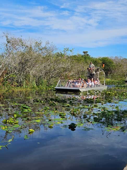 Everglades: boat tour with transportation& entrance included - Discovering the Everglades: What You Can Expect