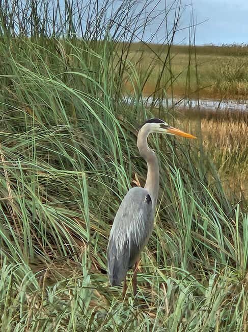 Everglades: boat tour with transportation& entrance included - Who Should Consider This Tour?