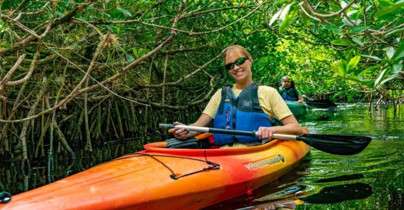 Everglades City: Guided Kayaking Tour and Airboat Ride - The Sum Up: Who Should Consider This Tour?