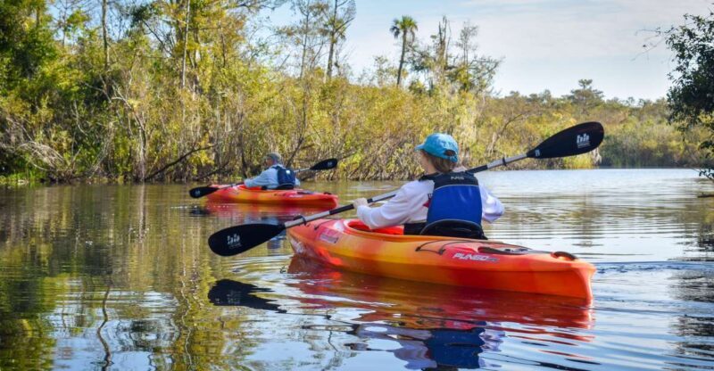 Everglades City: Guided Kayaking Tour of the Wetlands - Exploring the Everglades Wetlands by Kayak: A Naturalist’s Dream