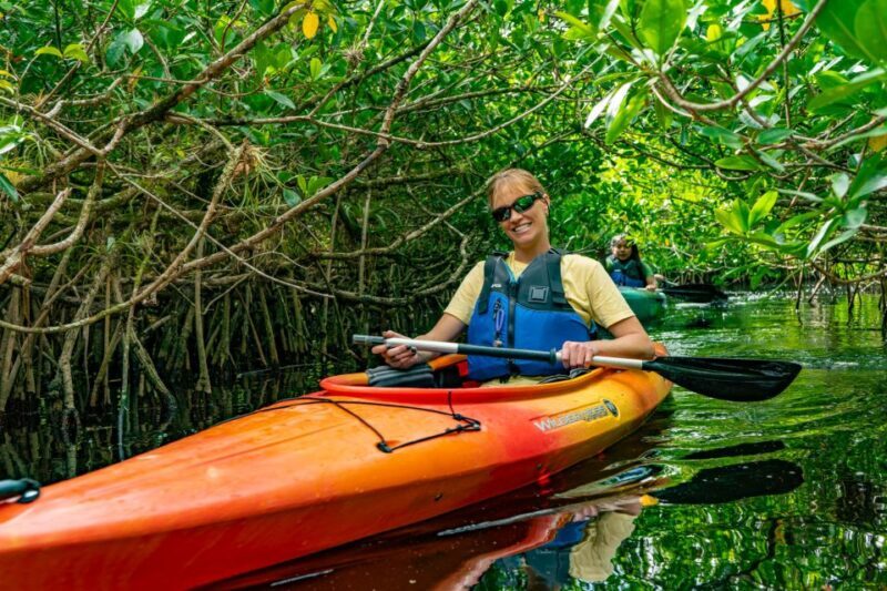 Everglades City: Guided Kayaking Tour with and Airboat Ride - Introduction to the Tour Experience