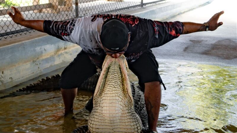 Everglades City: Guided Kayaking Tour with and Airboat Ride - The Authenticity of the Guides