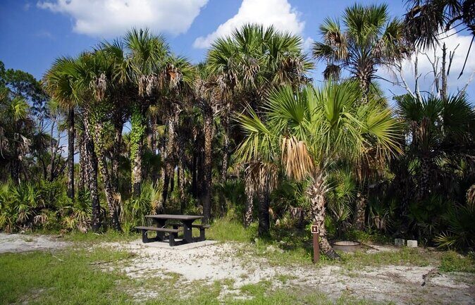 Everglades Day Safari from Fort Myers/Naples Area - Discovering the Everglades: A Full-Day Adventure from Fort Myers