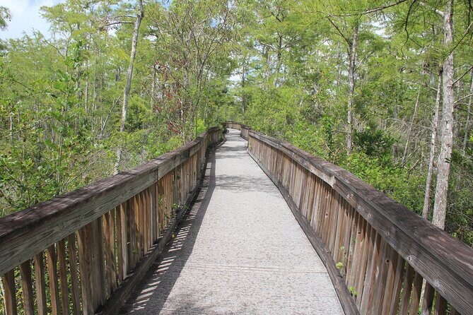 Everglades Day Safari from Miami - Final Thoughts: Is This Tour Right for You?