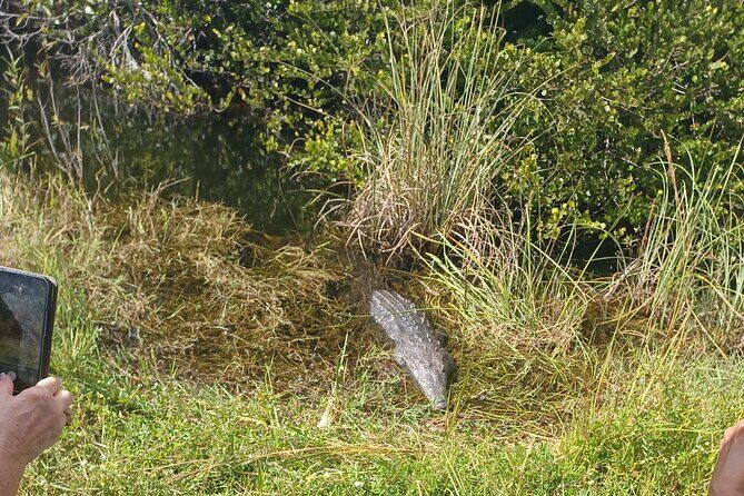 Everglades Eco Airboat Tour with Private Luxury Transportation - Authentic Everglades Adventure: A Deep Dive into the Eco Airboat Tour with Luxury Pickup
