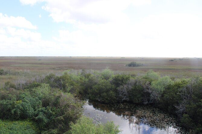 Everglades Eco Airboat Tour with Private Luxury Transportation - The Experience: What Travelers Say