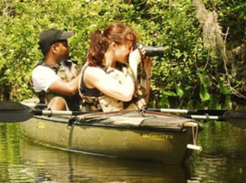 Everglades: Everglades Alligators and Orchids Kayak Eco Tour - Tour Logistics: What to Know
