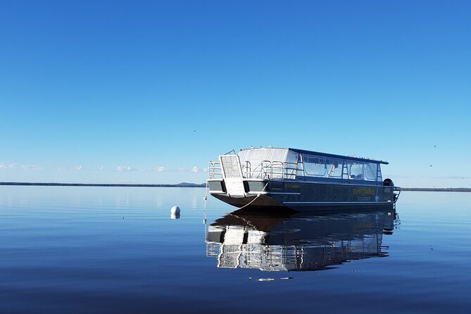 Everglades Explorer - Noosa Everglades Tour - Post-Tour Relaxation and Optional Activities