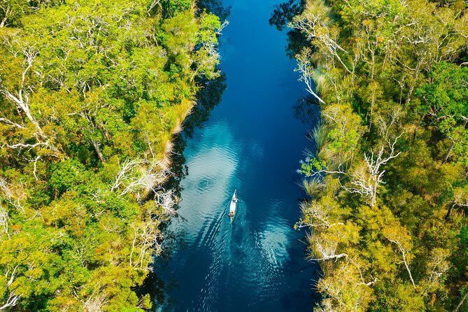 Everglades Explorer - Noosa Everglades Tour - What Travelers Are Saying
