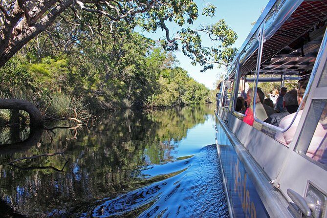 Everglades Explorer - Noosa Everglades Tour - Is This Tour Worth It?