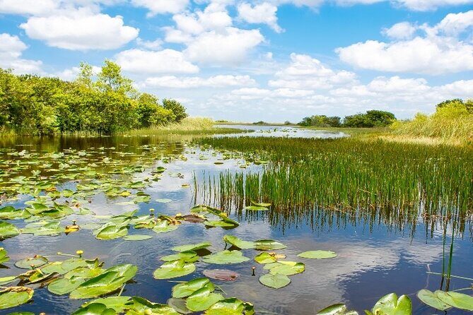 Everglades Express Small Group Tour from Miami with Airboat Ride - Who Should Consider This Tour?