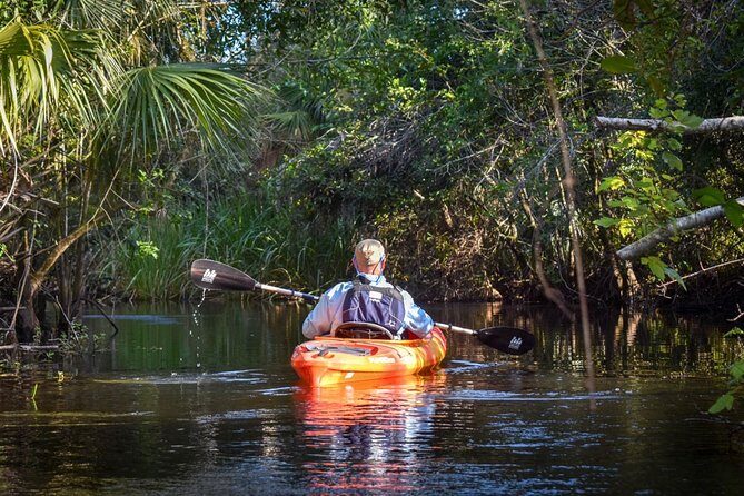 Everglades Guided Kayak Tour - What Travelers Say
