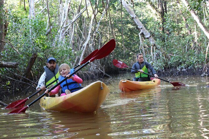 Everglades Kayak & Canoe Rentals - Key Points
