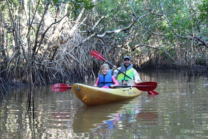 Everglades Kayak & Canoe Rentals - What to Expect from the Tour
