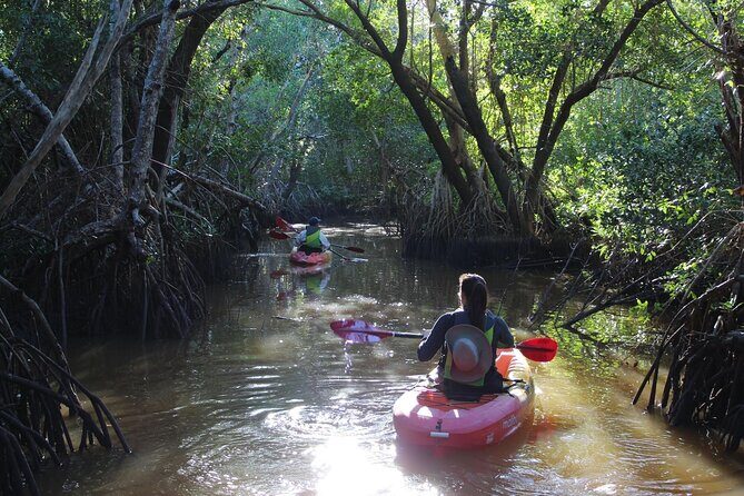 Everglades Kayak & Canoe Rentals - Practical Tips for Your Paddling Adventure