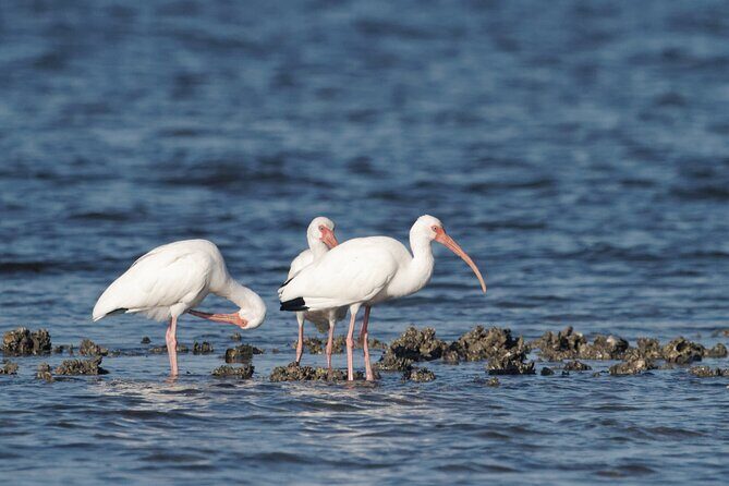 Everglades Kayak & Canoe Rentals - FAQ