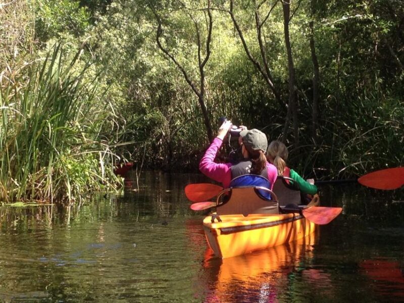 Everglades Kayak Safari Adventure Through Mangrove Tunnels - Final Thoughts: Who Should Consider This Tour?