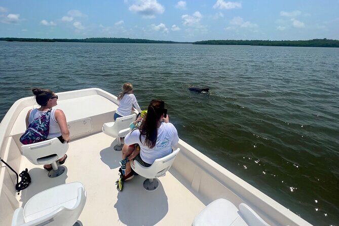 Everglades Mangrove Wilderness Boat Tour - Analyzing the Value: Does It Stack Up?