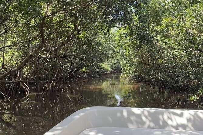 Everglades Mangrove Wilderness Boat Tour - FAQ