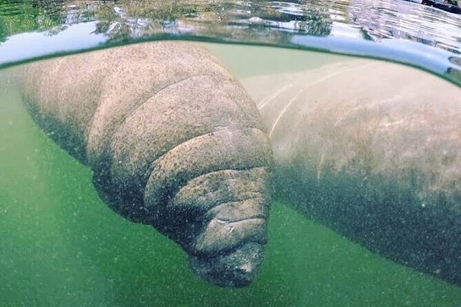 Everglades National Park: 3 Hikes + 90 minute Boat Tour + Lunch - Who Will Appreciate This Tour Most?