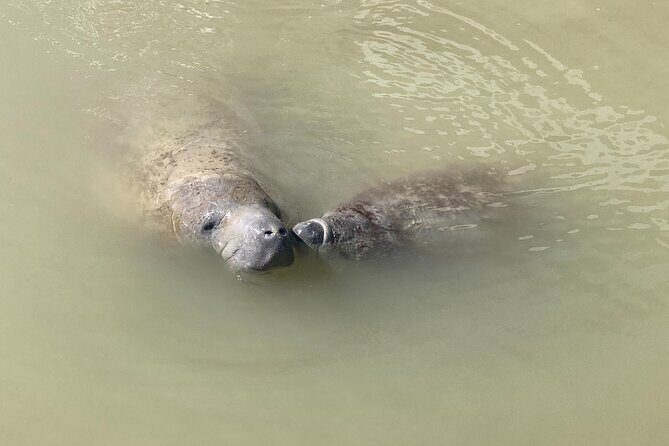 Everglades National Park: 3 Hikes + 90 minute Boat Tour + Lunch - The Sum Up