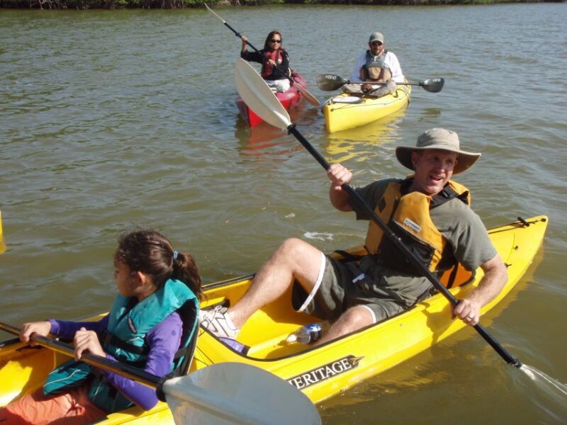 Everglades National Park 3-Hour Kayak Eco Tour - Discovering the Everglades by Kayak