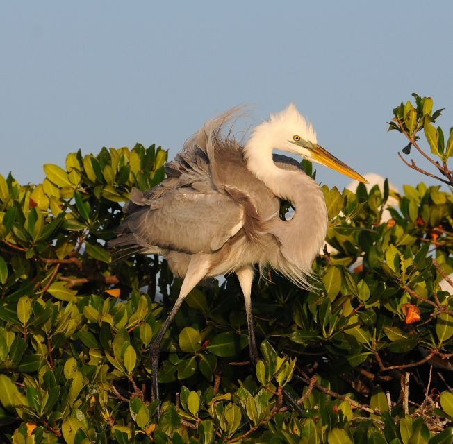 Everglades National Park 3-Hour Kayak Eco Tour - Practical Details That Matter