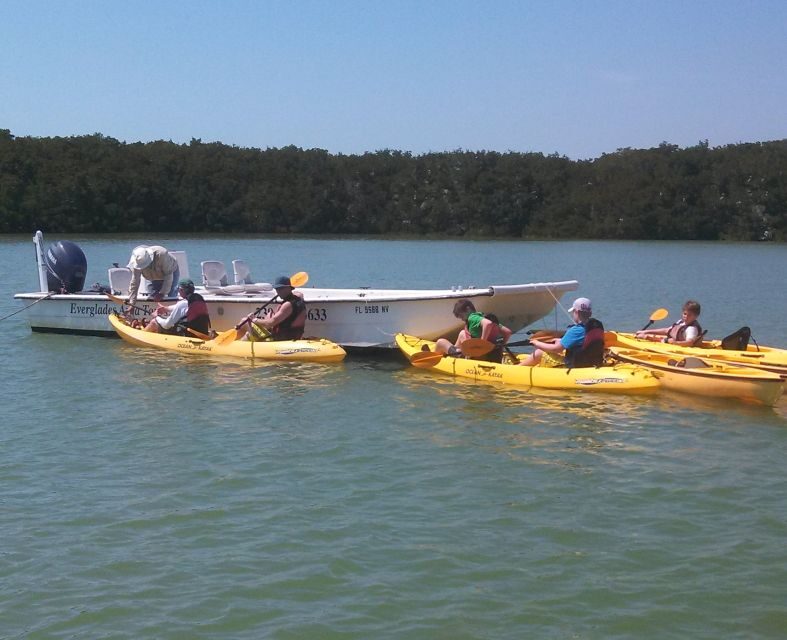 Everglades National Park: Boat Assisted Kayak Eco Tour - Key Points