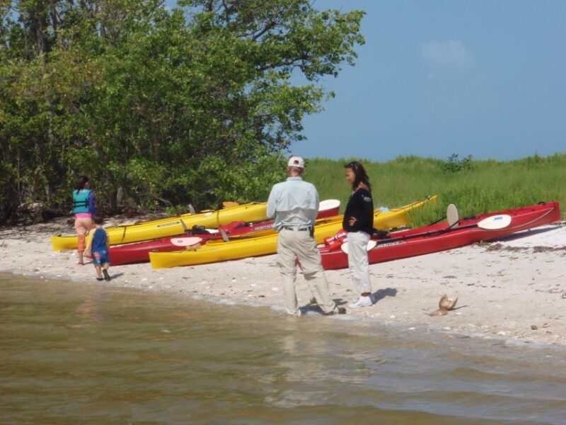 Everglades National Park: Boat Assisted Kayak Eco Tour - An In-Depth Look at the Experience
