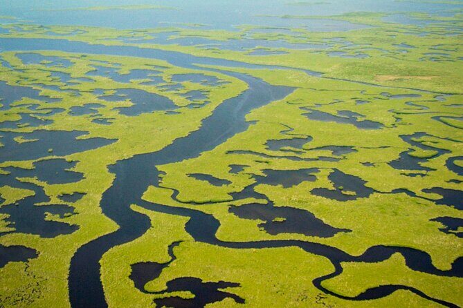 Everglades National Park Boat Tour - Final Thoughts