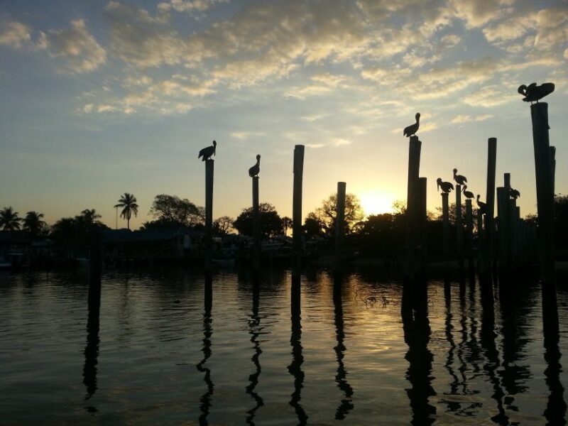 Everglades National Park: Motorboat Eco Tour - The Experience in Detail