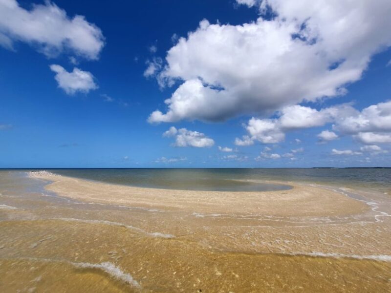 Everglades National Park: Motorboat Eco Tour - Who Will Love This Tour?